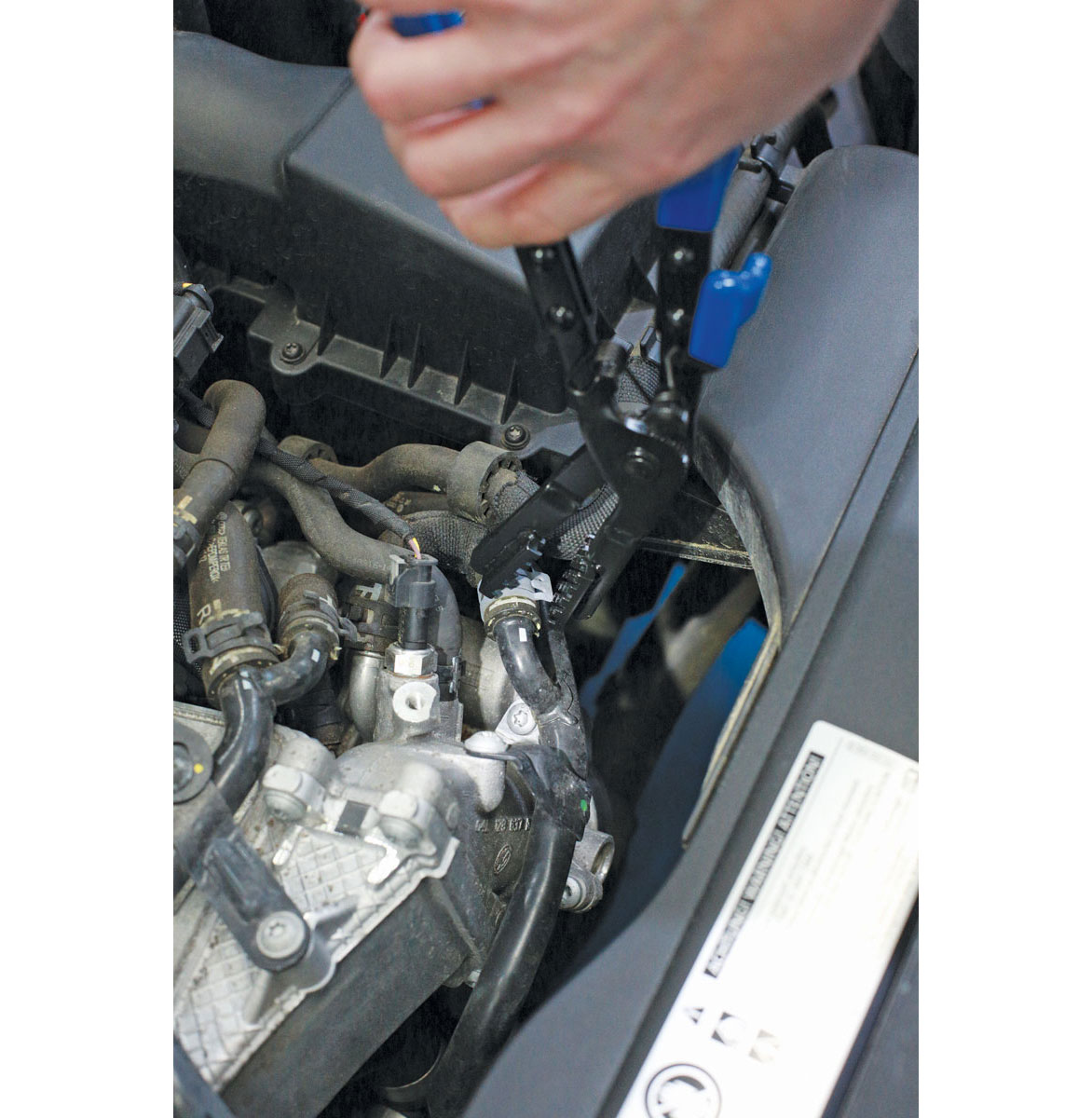 PINCE POUR COLLIER DE DURITE - TETE INCLINEE